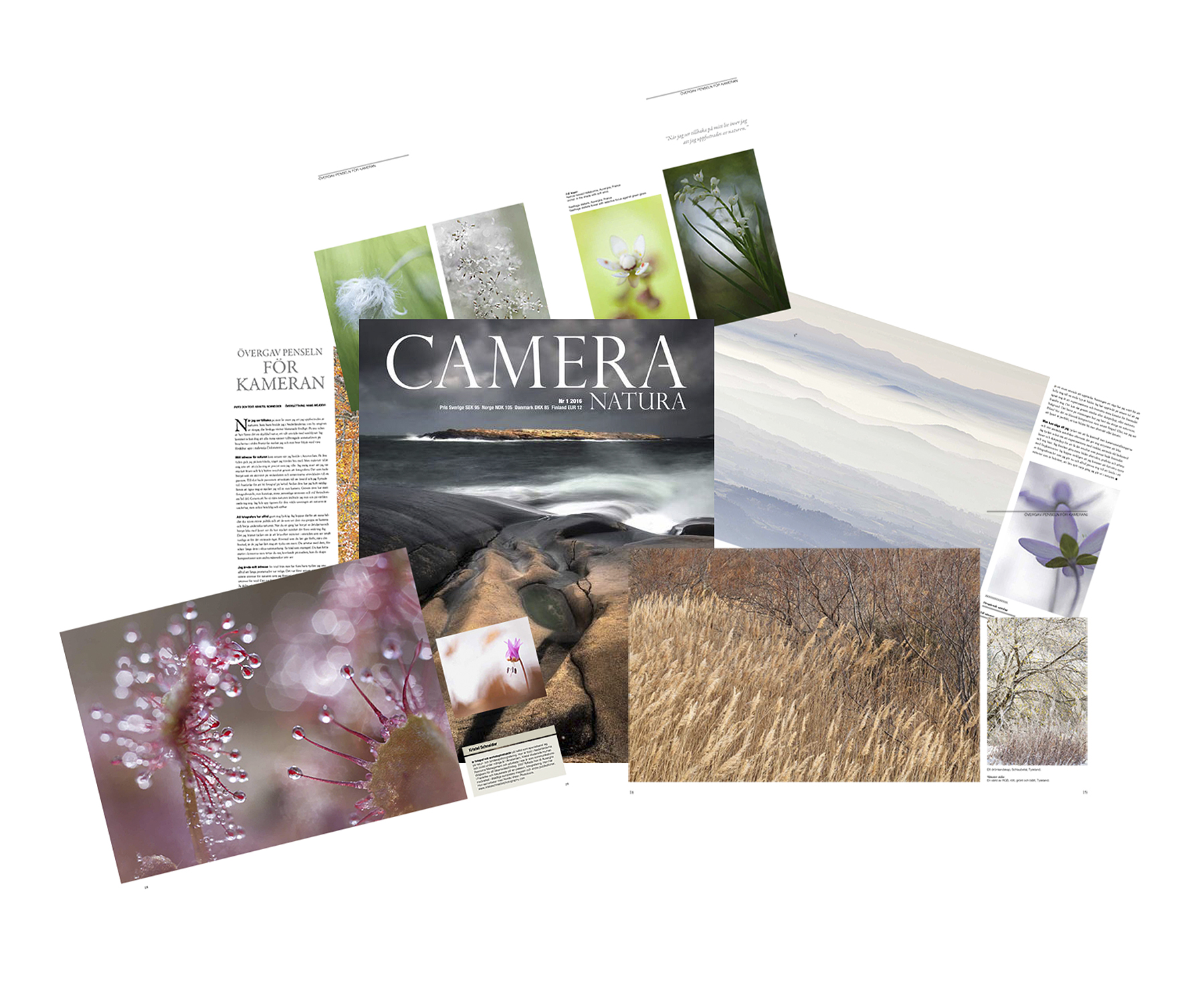 Publication in Swedish magazine: Camera Natura | Visions and Nature